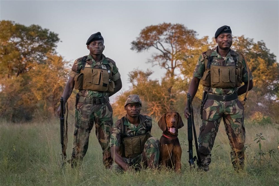 Karingani Game Reserve is fundraising for Tusk Trust