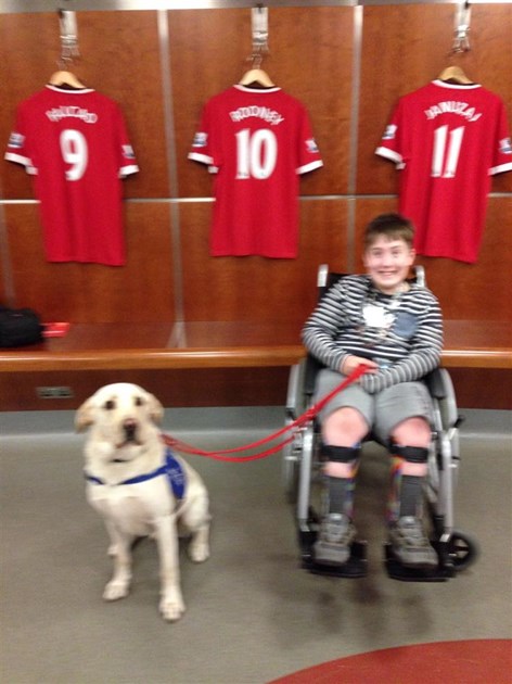 Paul Dawson is fundraising for Support Dogs Ltd