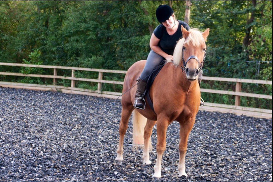 Denise Hollington is fundraising for Cranleigh RDA