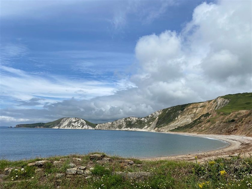 Lucy Belcher is fundraising for The Malcolm Whales Foundation