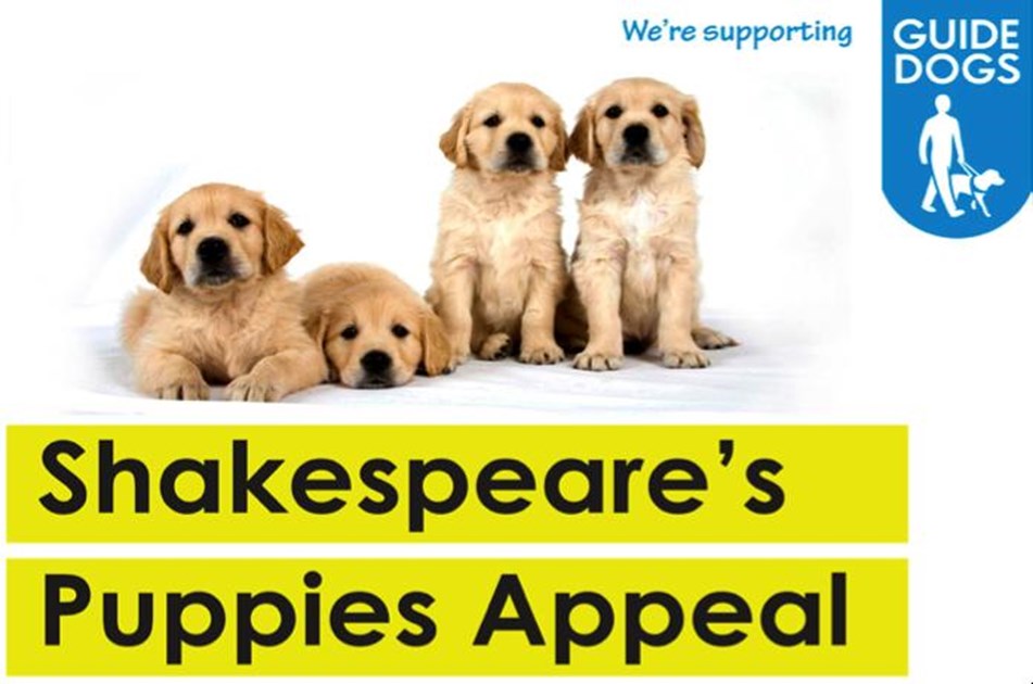 Rob Iles is fundraising for Guide Dogs