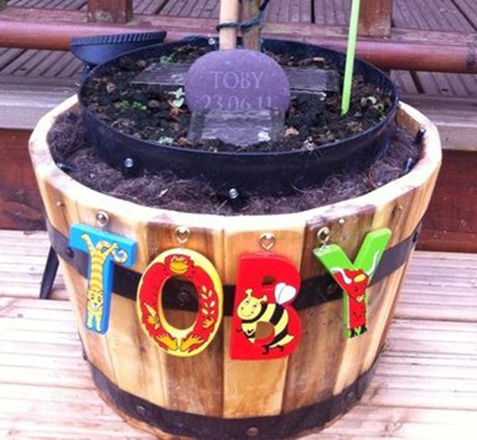 Phoebe Warren is fundraising for Sands