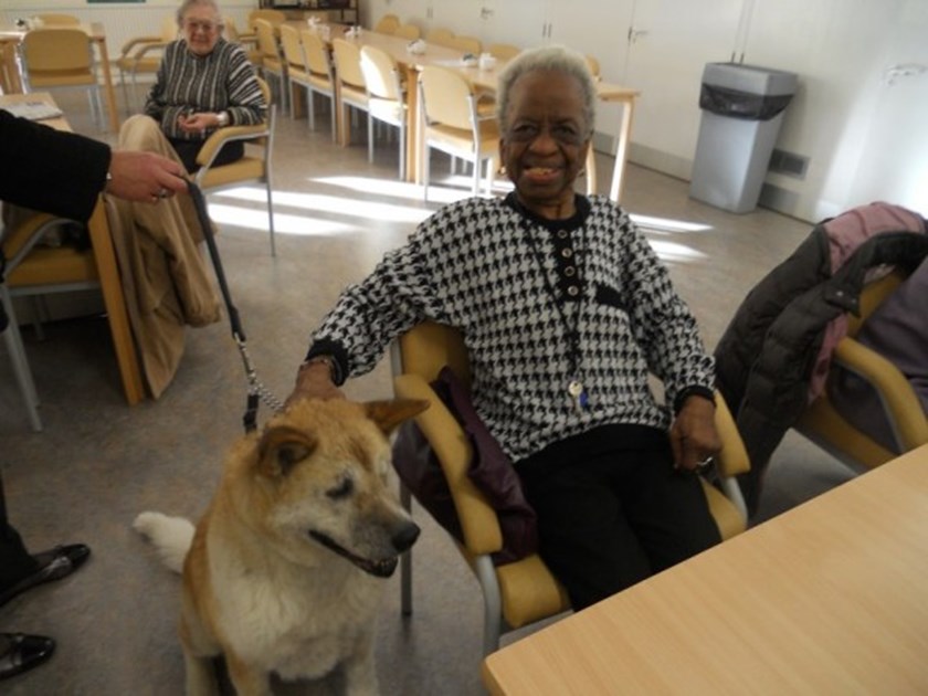Dario Poloni is fundraising for The Mayhew Animal Home