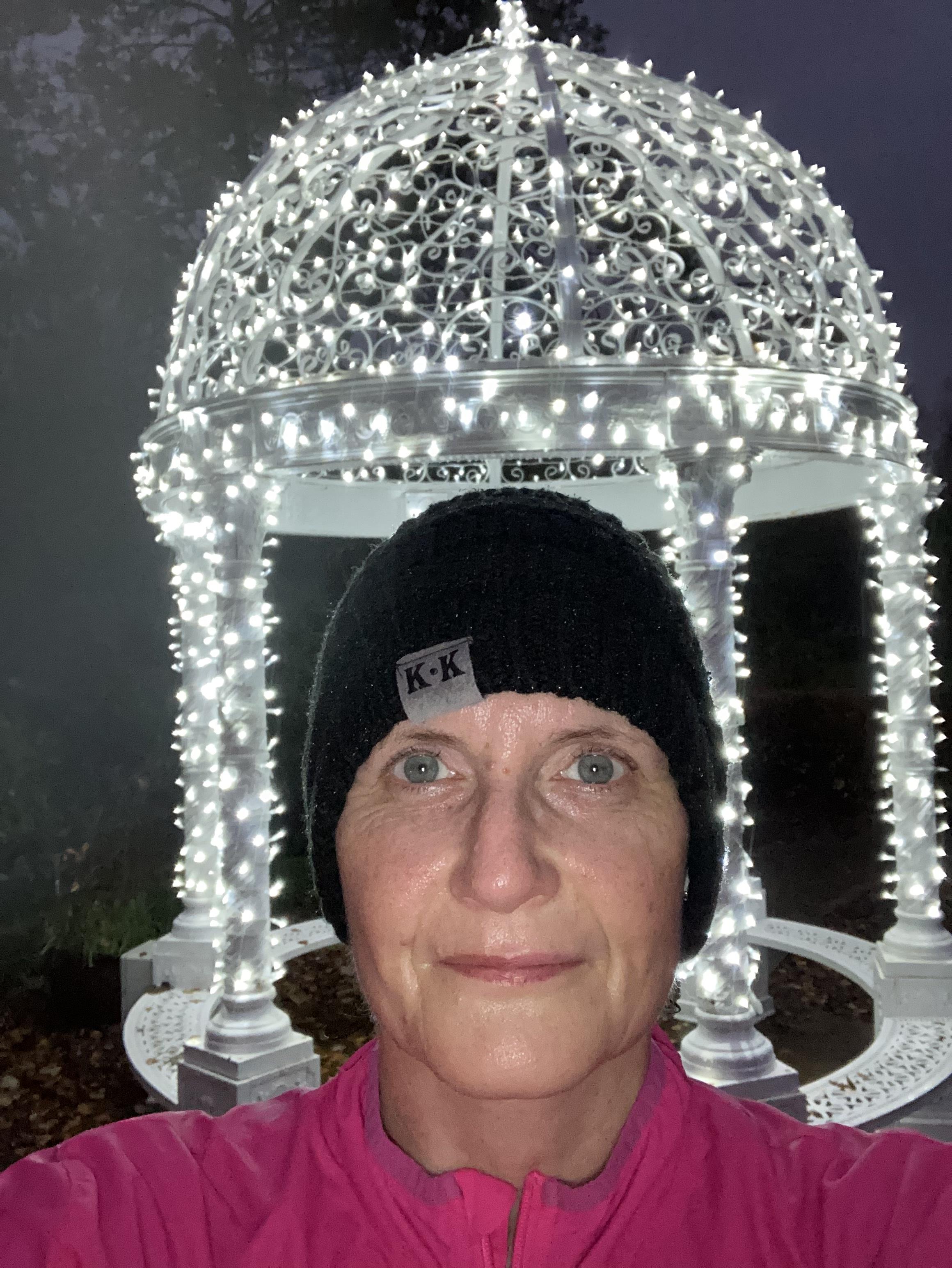 Susan Stubbs is fundraising for St Catherine's Hospice Preston