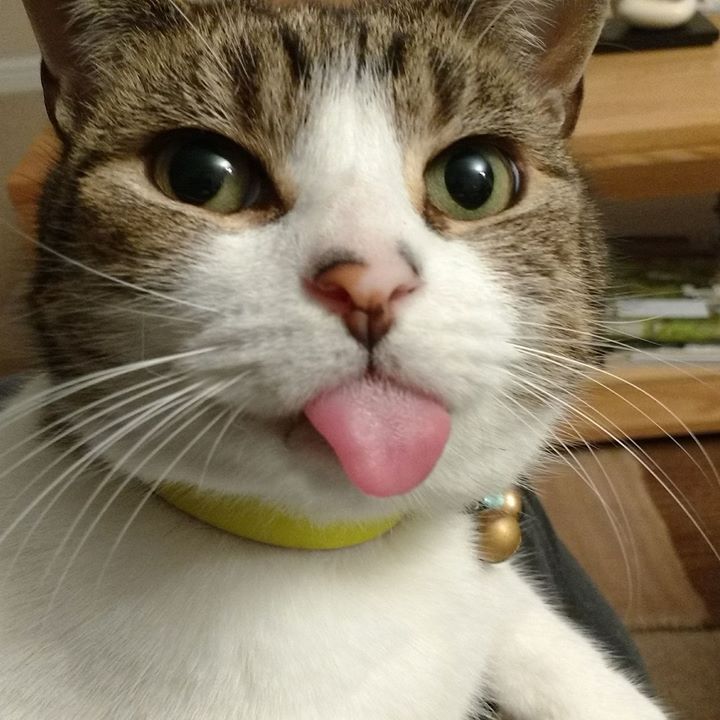 Helen Catley is fundraising for Cancer Research UK