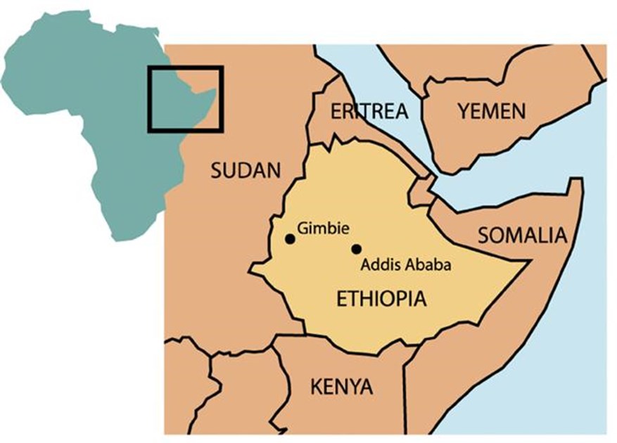 Kate Thorman is fundraising for Maternity Worldwide