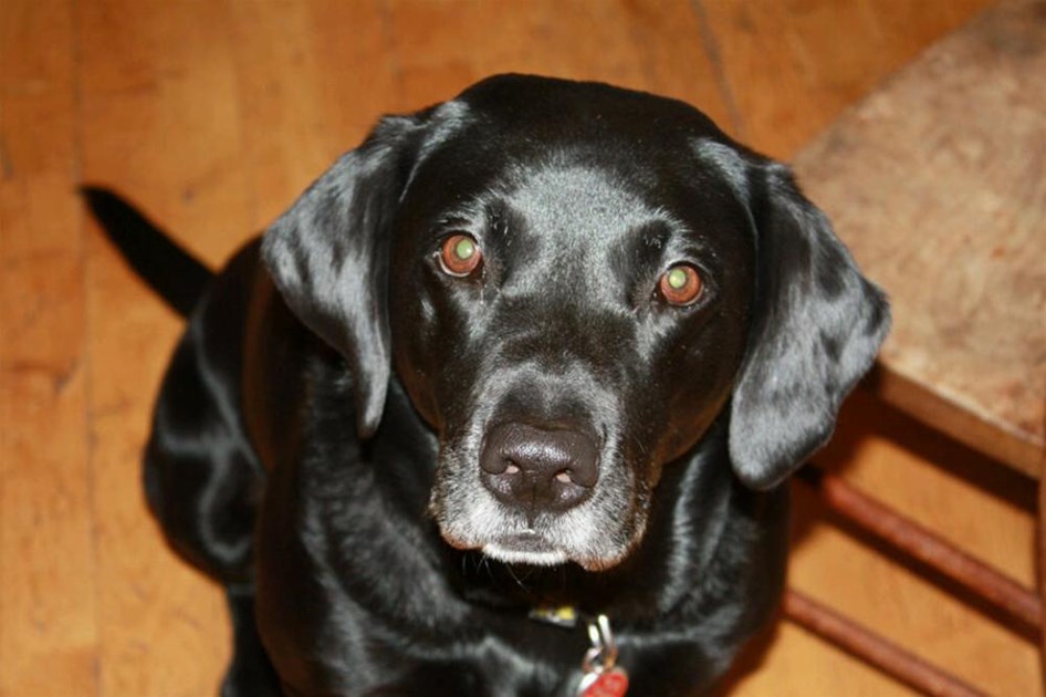 Rosie Wait is fundraising for Cancer Research UK