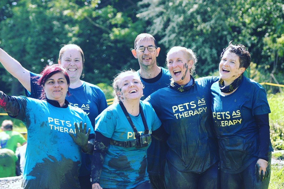 Alison Hagon is fundraising for Pets As Therapy