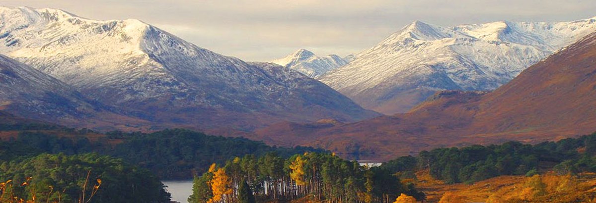 George Bisset is fundraising for Samuel's Smile