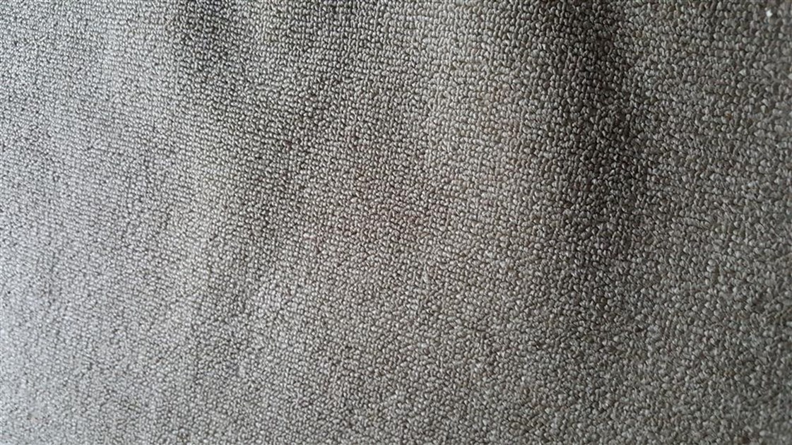 Rosie Posie is fundraising for Marie Curie