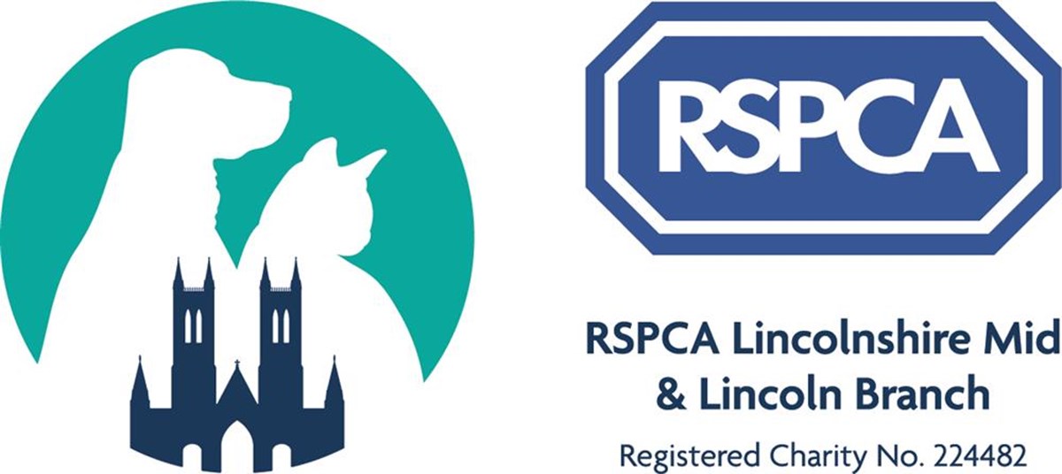 Amy Farrell is fundraising for RSPCA Lincoln