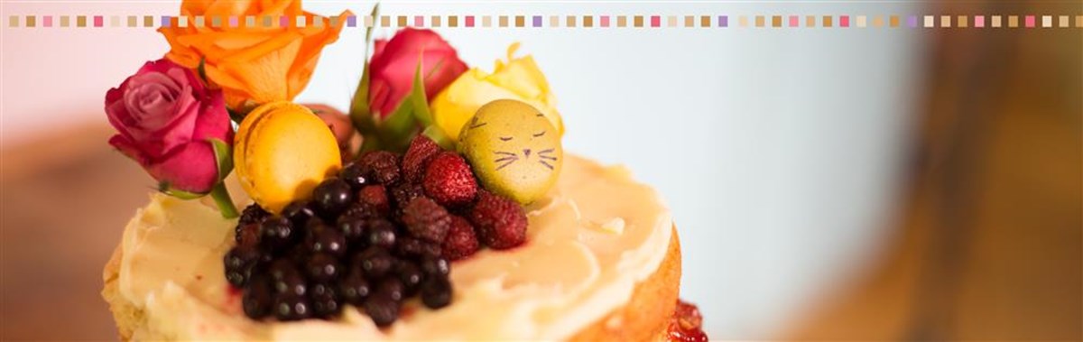 Cats Protection Brighton and Hove Branch is fundraising for Cats Protection