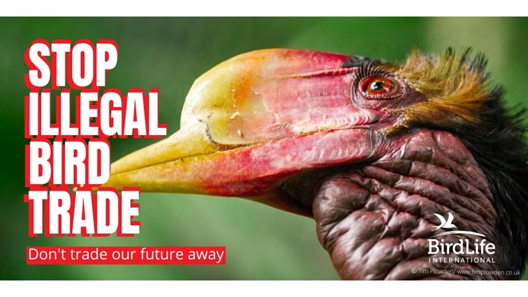 Stop Illegal Bird Trade - JustGiving