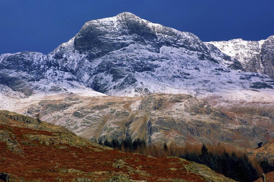 Tiffany Solender is fundraising for Nurture Lakeland