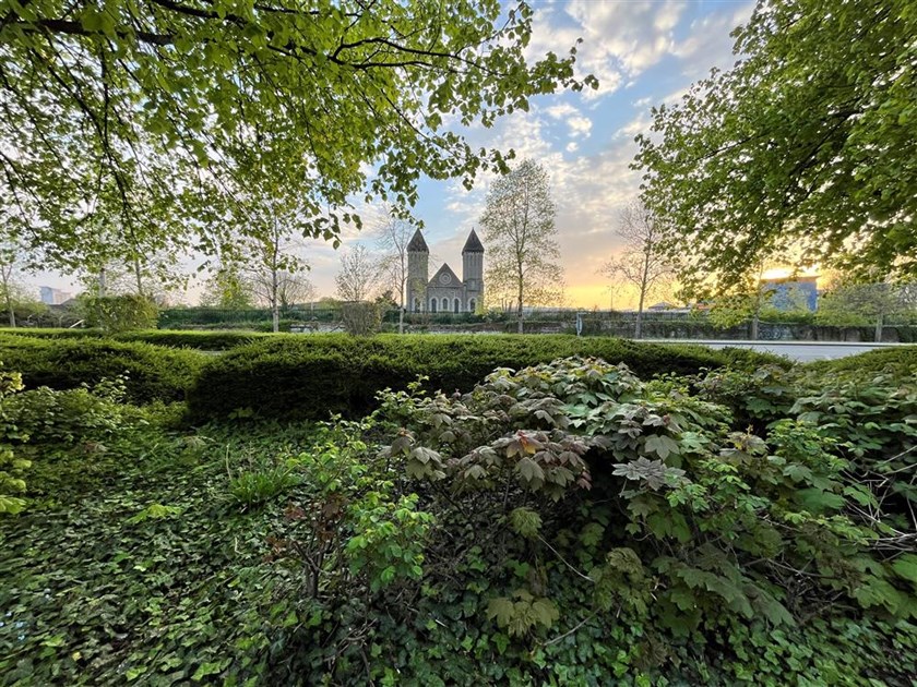 louis luk is fundraising for Cardiff University