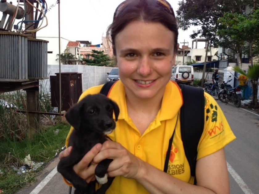 Lisa Angus is fundraising for Worldwide Veterinary Service