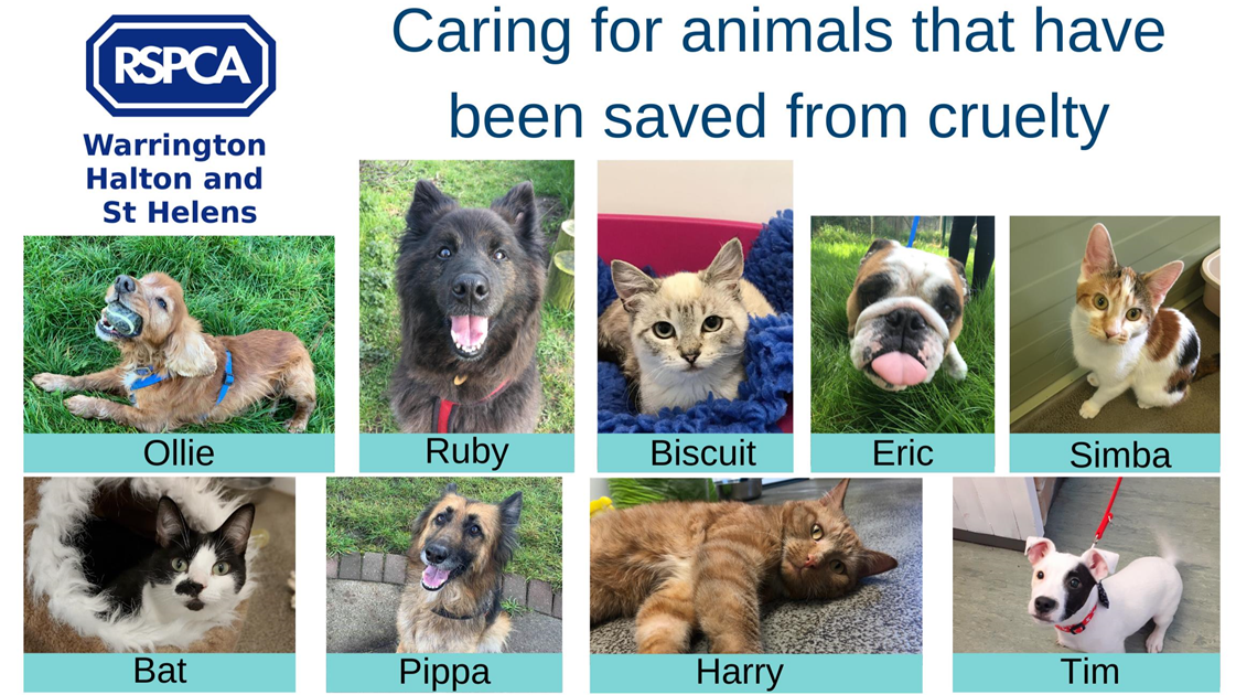 Yvonne Perry is fundraising for RSPCA Warrington, Halton & St Helens Branch