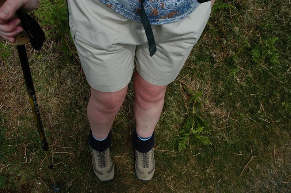 Jane Coughlin is fundraising for The East Lancashire Hospice