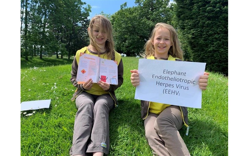 Rae Law is fundraising for Chester Zoo