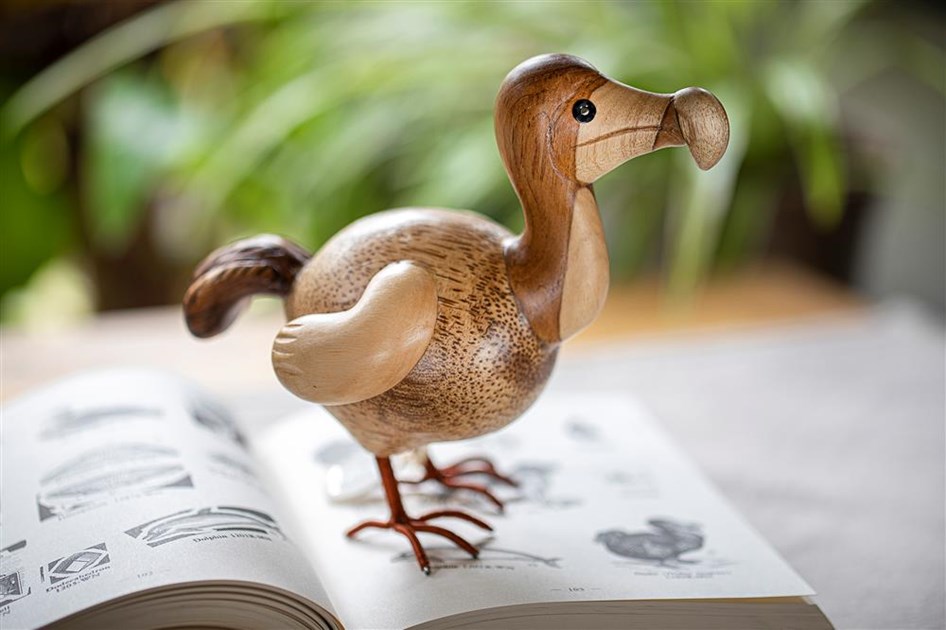 DCUK The Original Wooden Duck Company is fundraising for Durrell ...