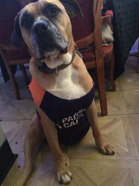 Ben Kent is fundraising for Pancreatic Cancer UK