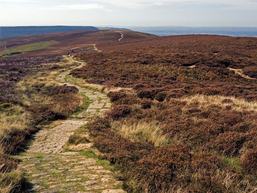 Conor Eaton-Smith is fundraising for Thrombosis UK