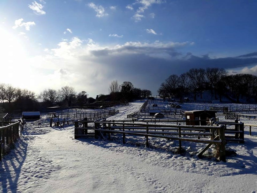 The Salvation Army Hadleigh Farm Estate is fundraising for The ...