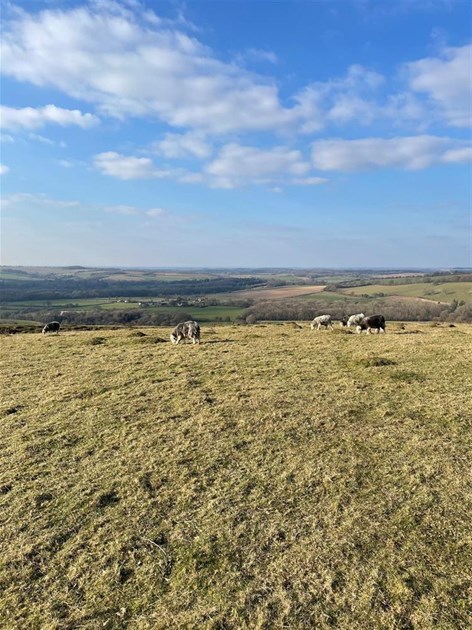 Georgina Crooks is fundraising for Pancreatic Cancer UK