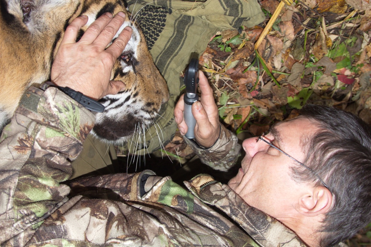 Win this fabulous portrait of Igor & Anoushka and help save the world's ...