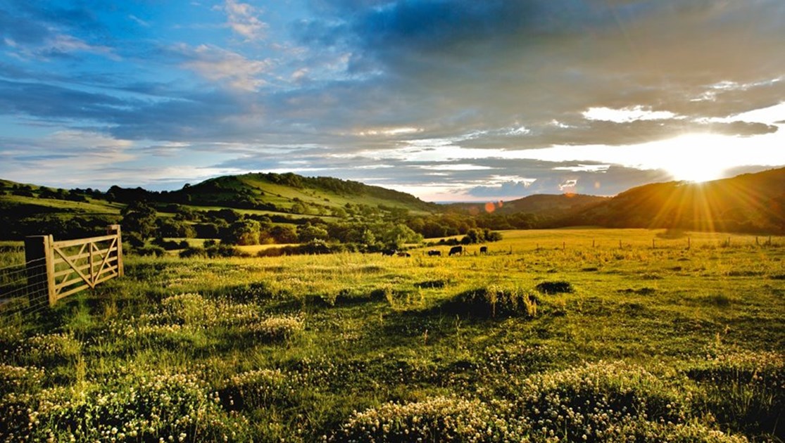 Alison Geary is fundraising for Alzheimer's Society