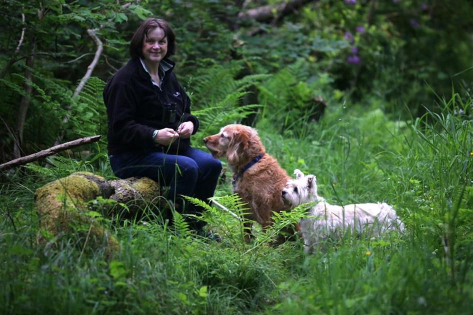 Daria Wallace is fundraising for St Oswald's Hospice Limited