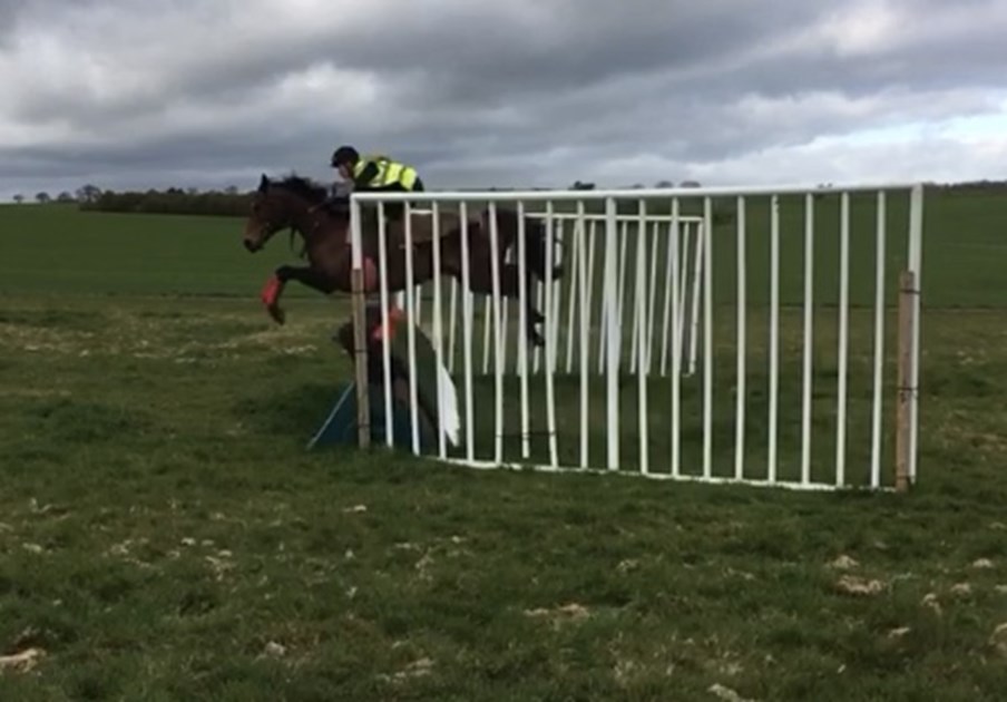 Keely Lynch is fundraising for Racing Welfare