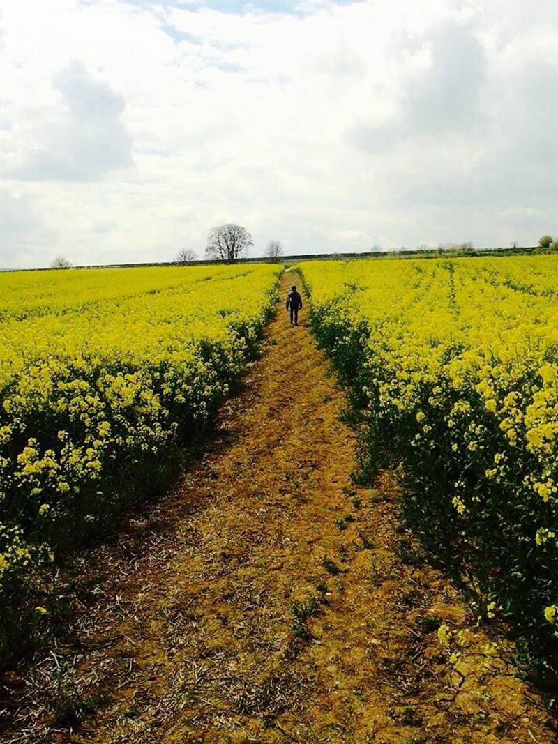 Michael Sherrington is fundraising for The British Red Cross Society