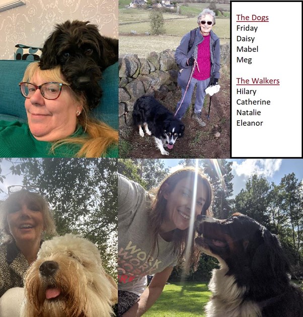 Hilary Salt is fundraising for Hearing Dogs For Deaf People