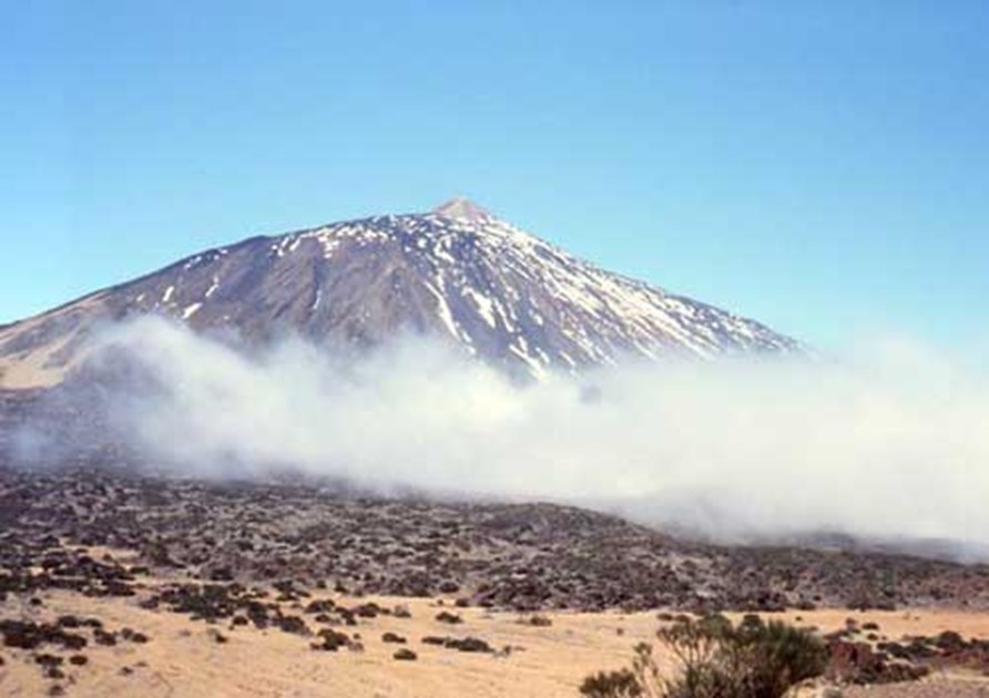 Sean Keaney is fundraising for AWF