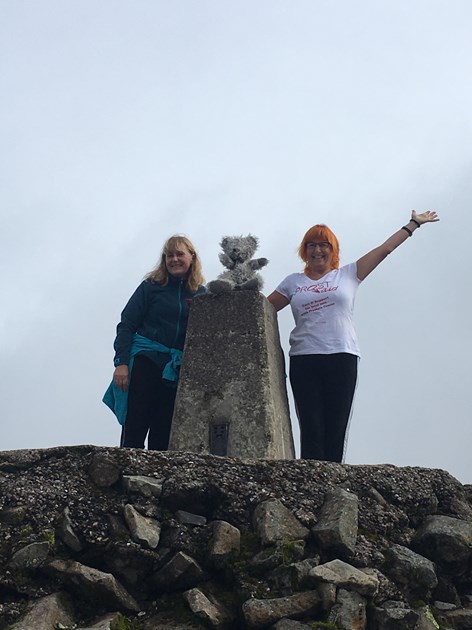 Carol Marsden is fundraising for PROSTAID