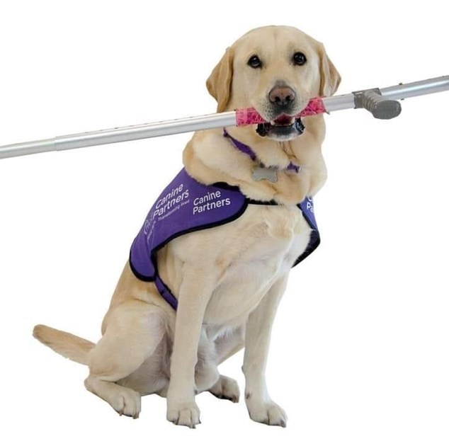 Danielle Rankin is fundraising for Canine Partners