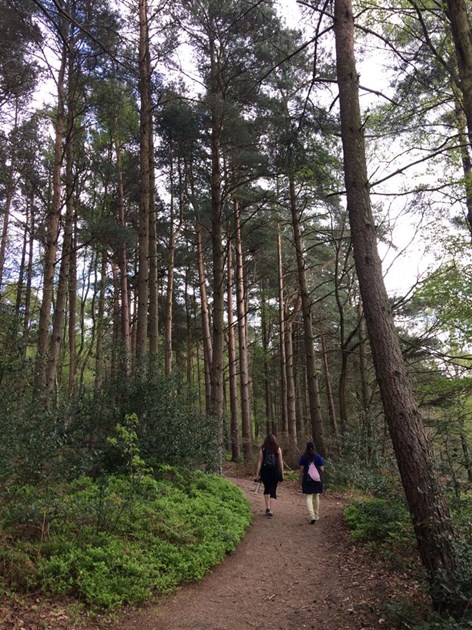 April Bracher is fundraising for Trees for Cities