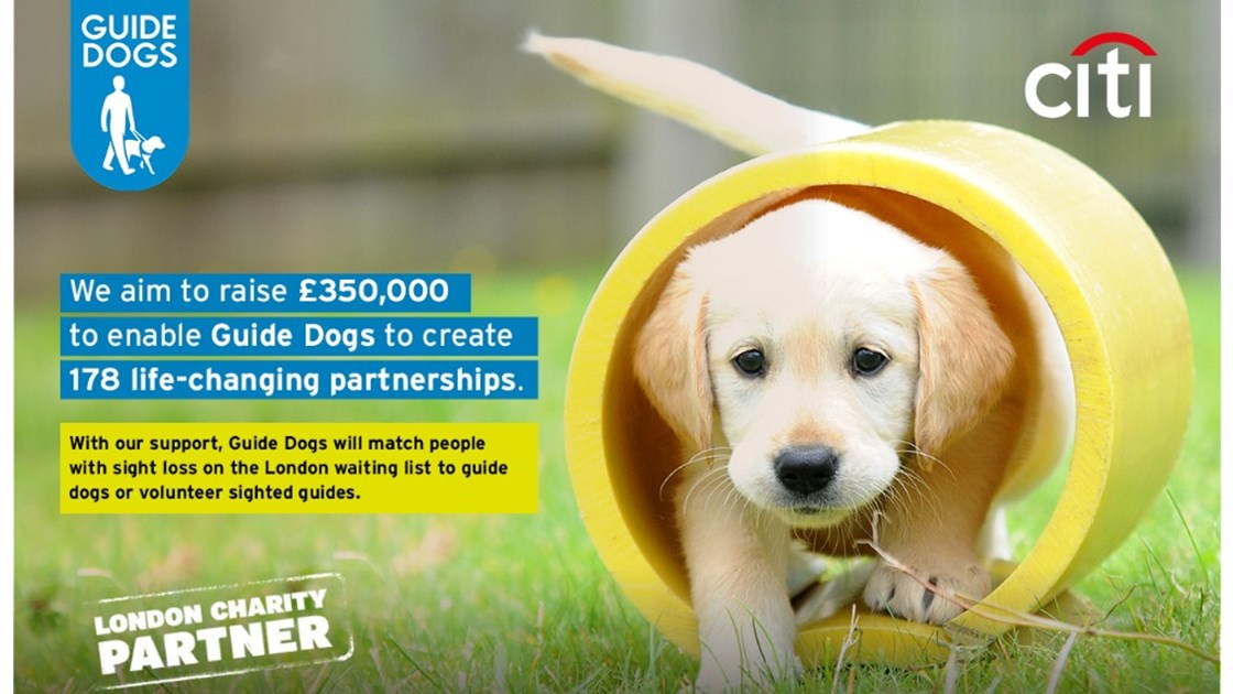 Citi London Charity Partner is fundraising for Guide Dogs