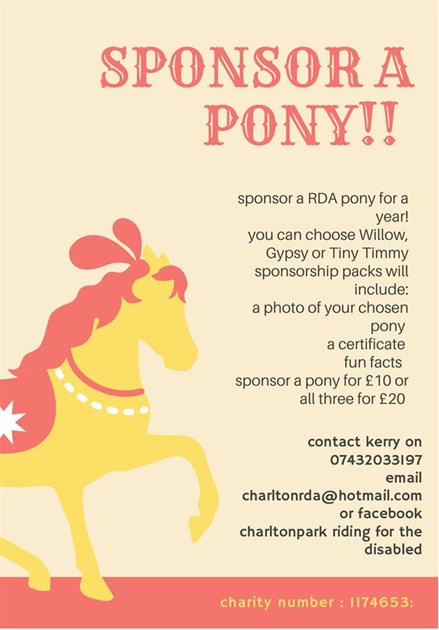 Kerry Kendall is fundraising for Charlton Park RDA