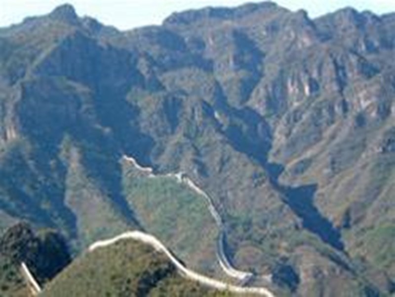 Fiona Biddle is fundraising for Barnardo's