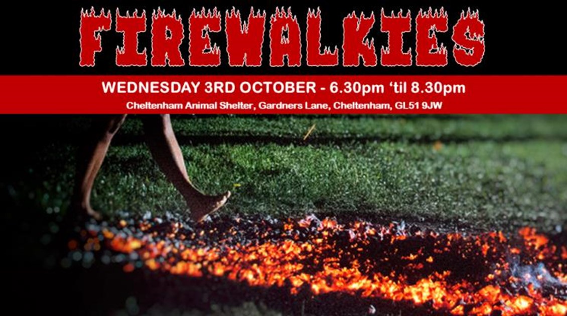 Cheryl Clay is fundraising for Cheltenham Animal Shelter