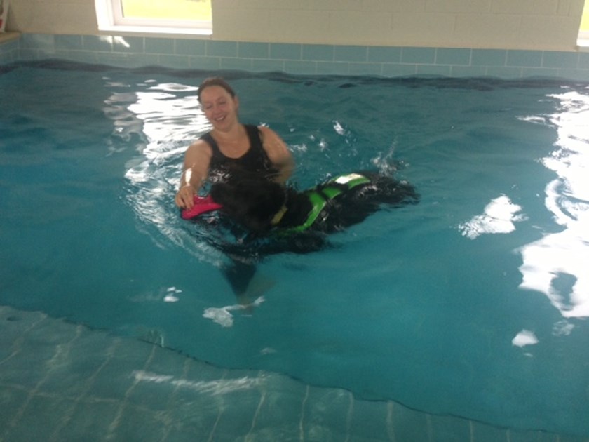 Isla Clarke is fundraising for Hounds for Heroes