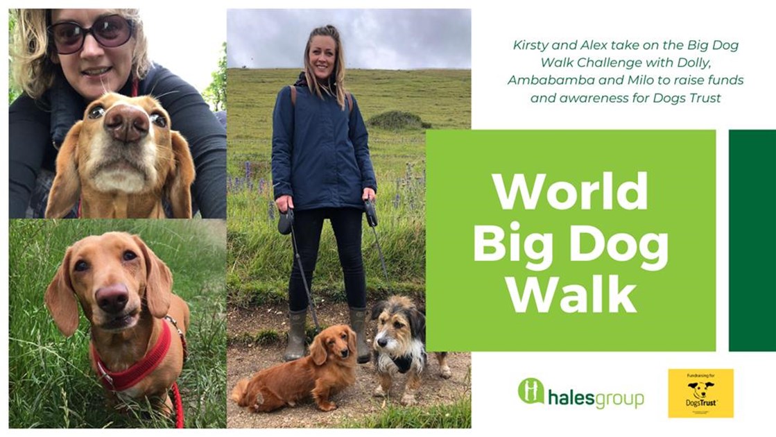 Hales Group Ltd is fundraising for Dogs Trust