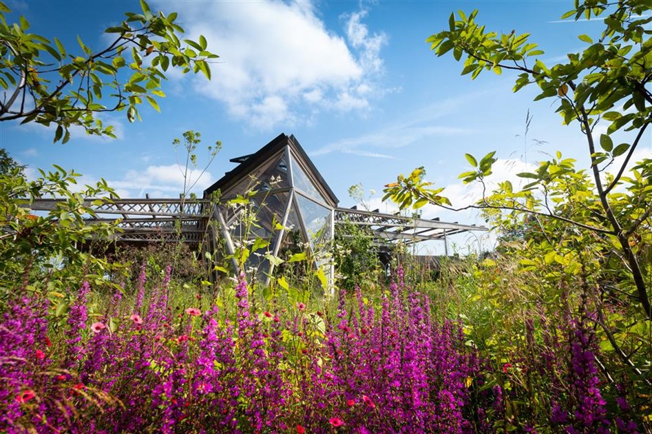 David Coleiro is fundraising for Maggie's Centres