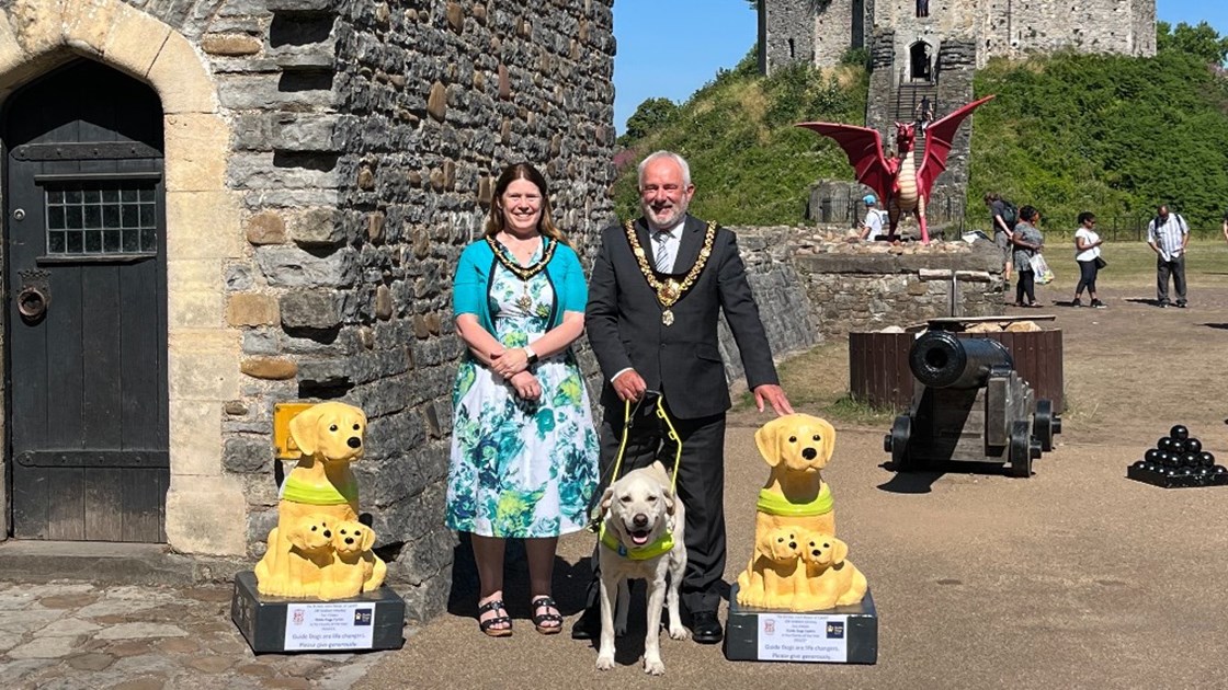 HELEN LLOYD JONES is fundraising for Guide Dogs