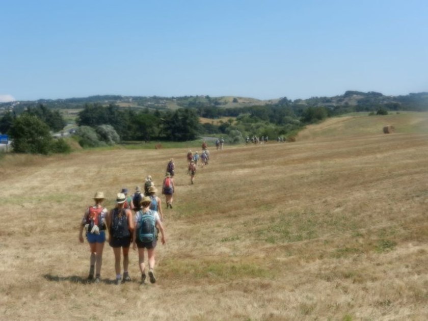 Timothy Higgins is fundraising for PROSTATE CANCER UK