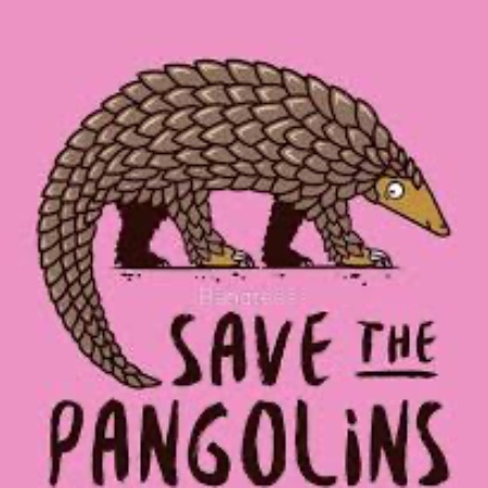 Lily who loves pangolins is fundraising for Born Free Foundation