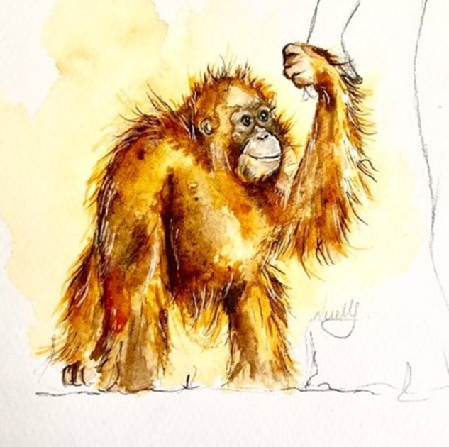 Lilly Wells is fundraising for Wildlife Conservation International