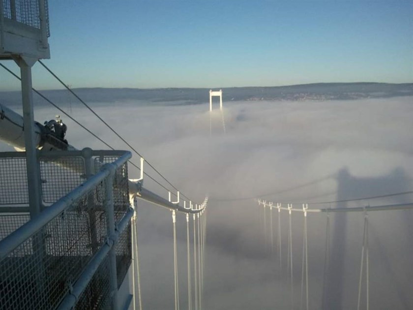 Mark Hassall is fundraising for Cancer Research UK